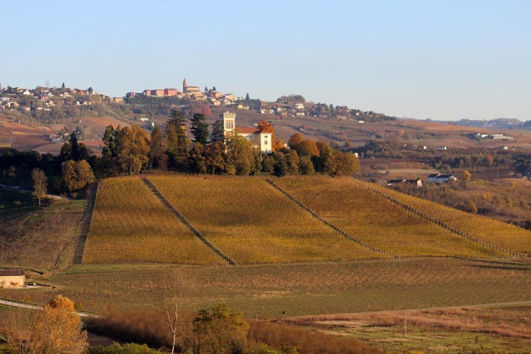 Novara: storia, territorio e tradizioni della città piemontese ...